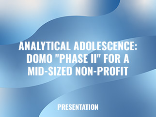 Analytical Adolescence: Domo "Phase II" for a Mid-Sized Non-Profit