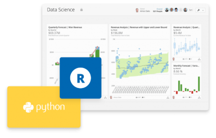 What is the difference between R and Python? | Domo
