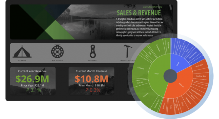How to use strategic dashboards | Domo
