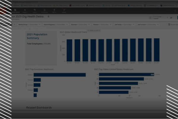 Using Domo Bricks to Design a Personalized Self-Serve Reporting Portal ...